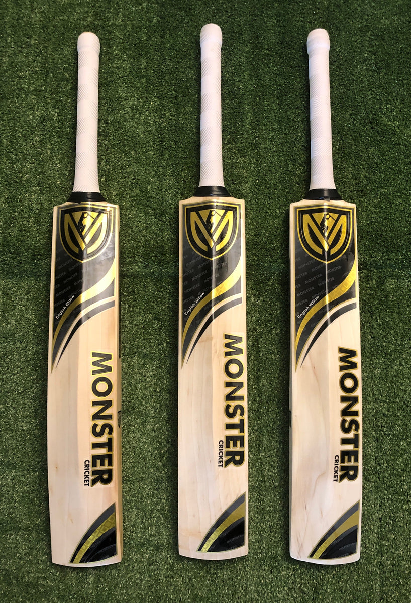 Monster Cricket Player Edition 3 – Crazy4Cricket.com